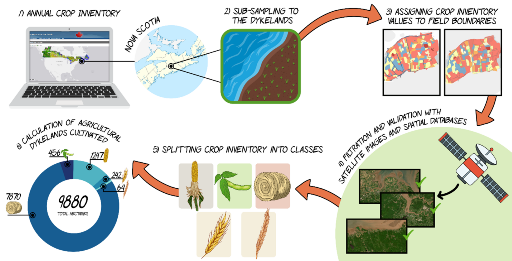 Our Projects – Agricultural Mechanized Systems